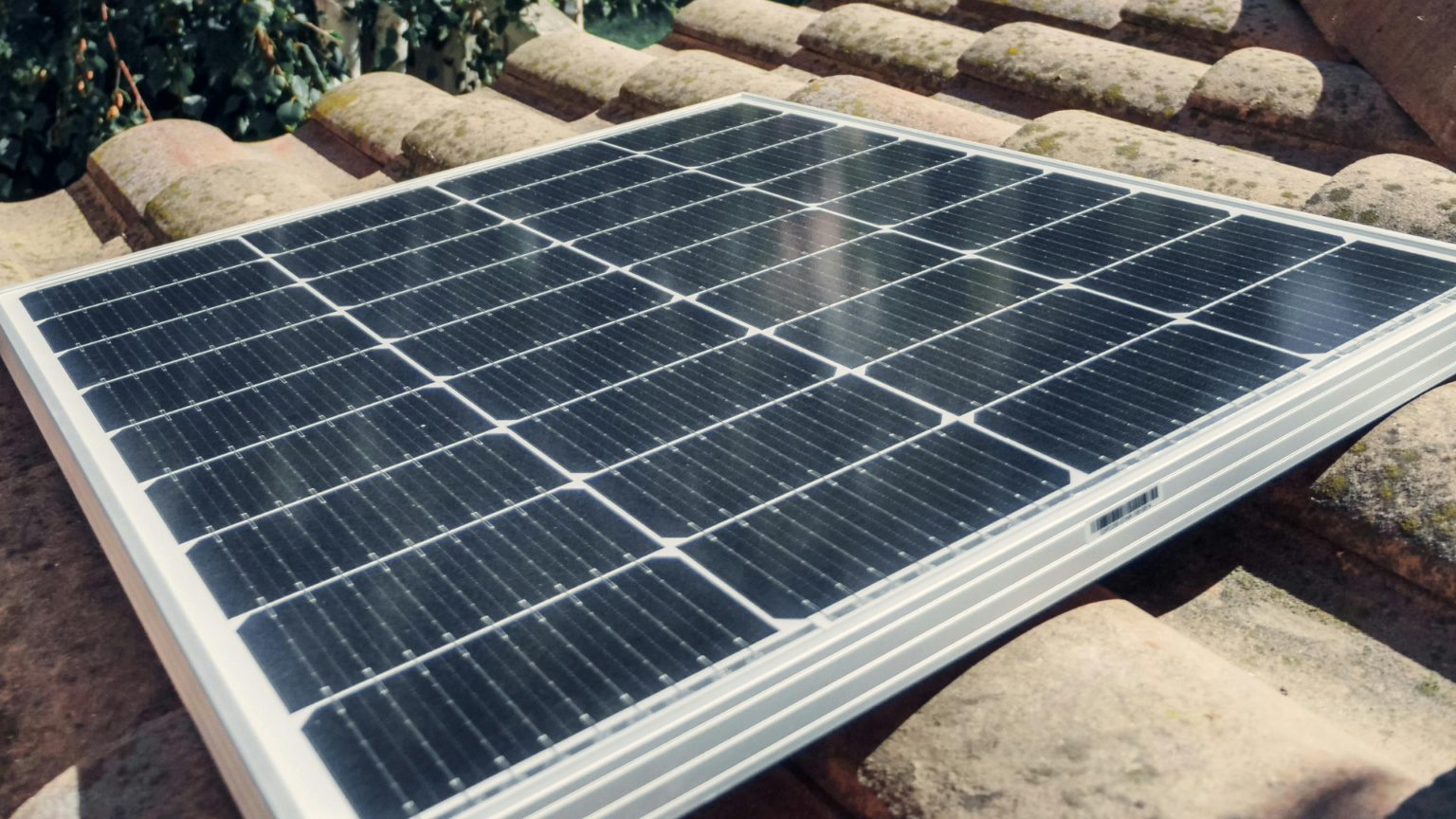 Alpex Solar wins Rs 215 crore domestic module supply order | Power Peak ...