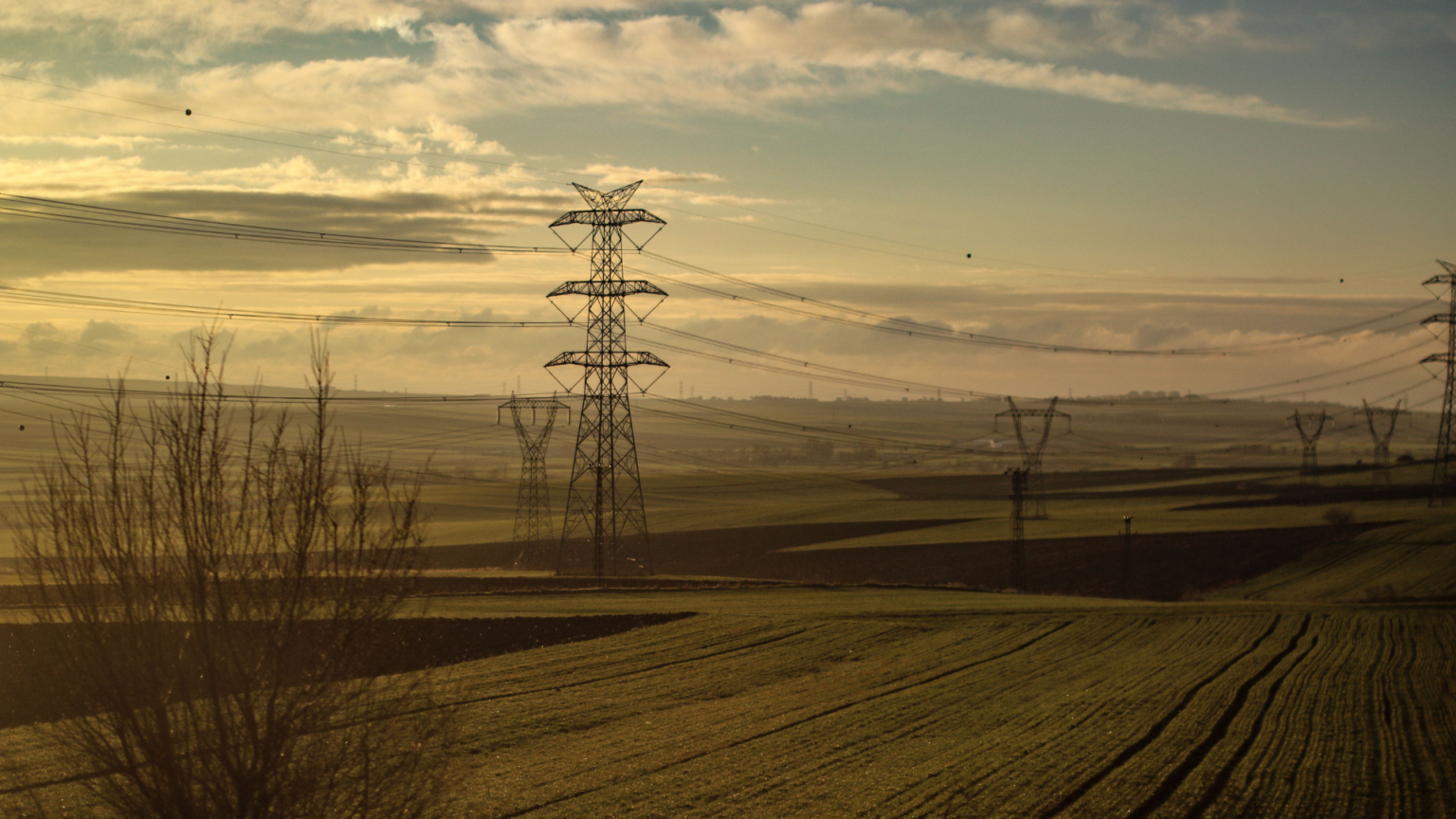 MoEFCC's new RoW norms could cut forest land for power lines by up to ...